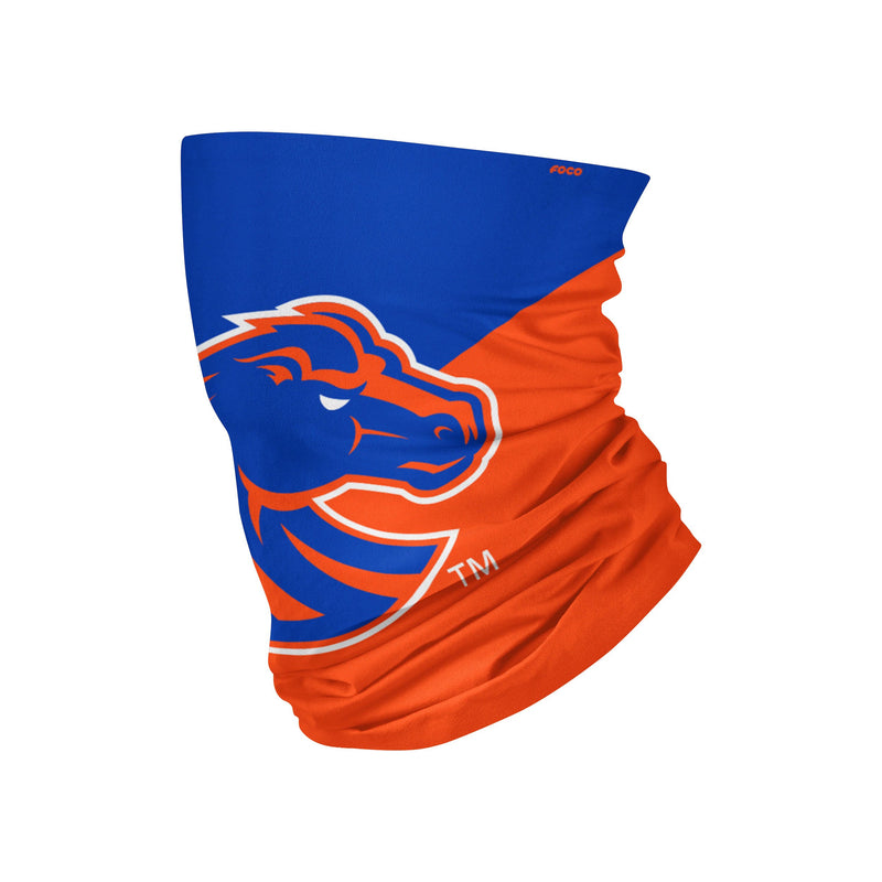 Boise State New Logo